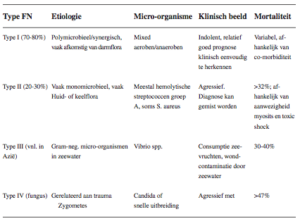 De behandeling van fasciitis necroticans - Venticare